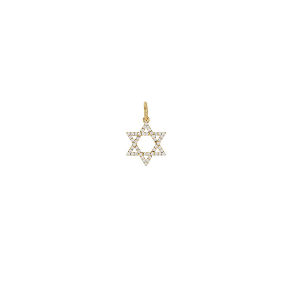Rachel Reid Diamond Star of David Charm - Desires by Mikolay